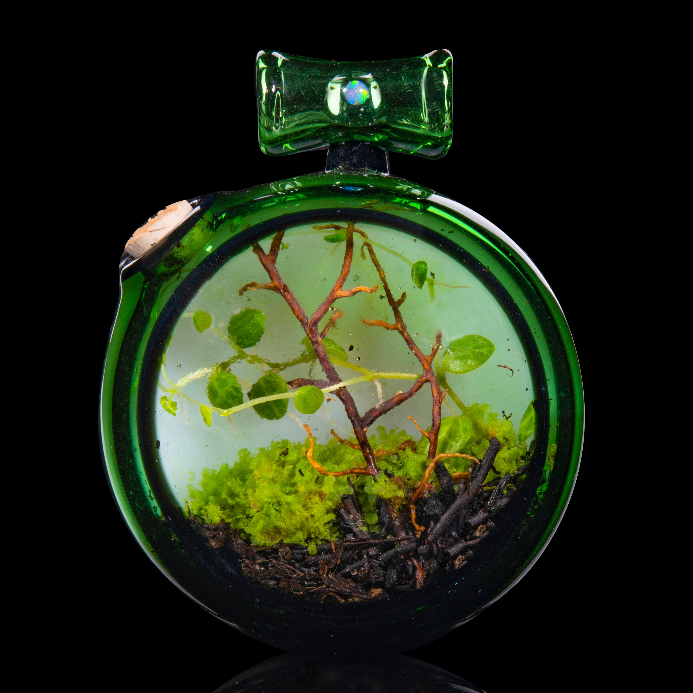 Microcosm Glass – That Glass Gallery, LLC